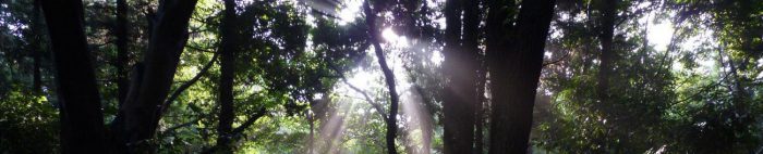 SQLite の NuGet パッケージ | :: halation ghost